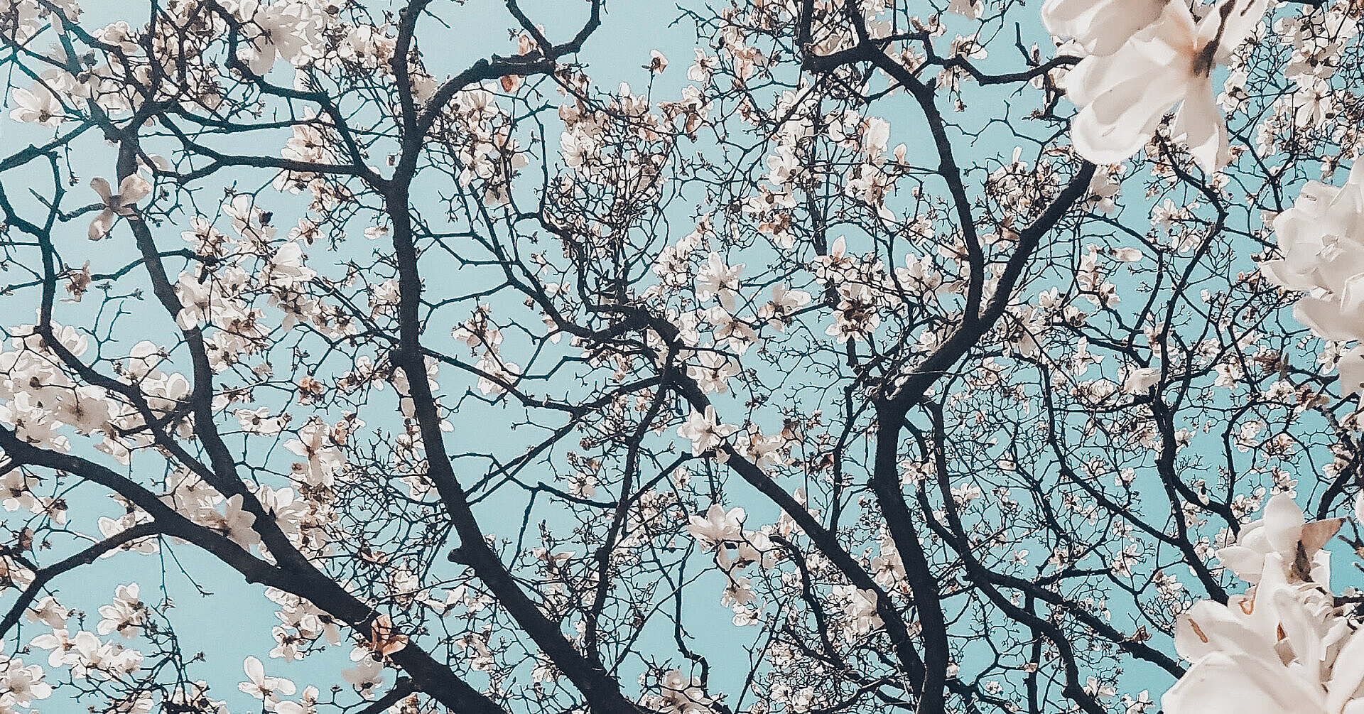 Integrating renewables into the Japanese power grid by 2030 (Summary)